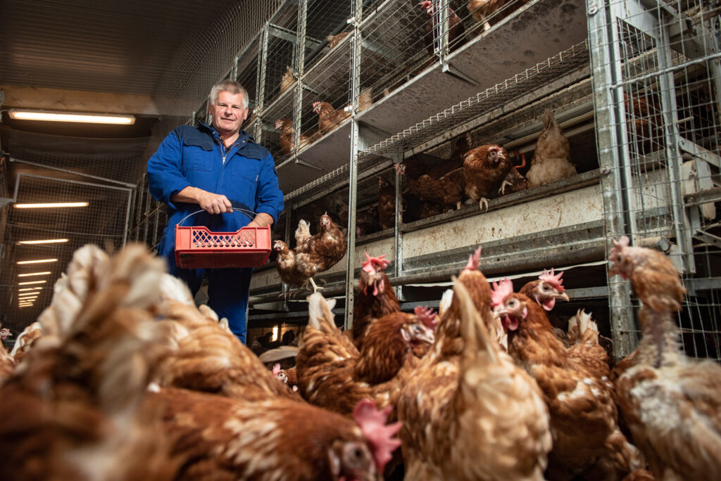 Rainer Duits, Bockhorn (Gewinner) - CERES AWARD